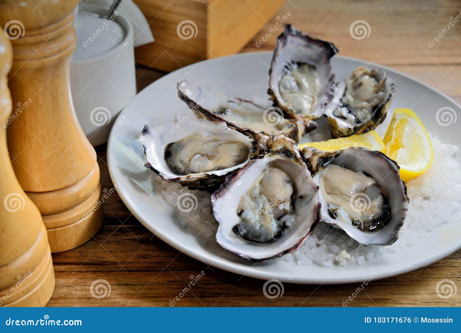 Raw Oyster stock photo. Image of japanese, cuisine, micro - 103171676