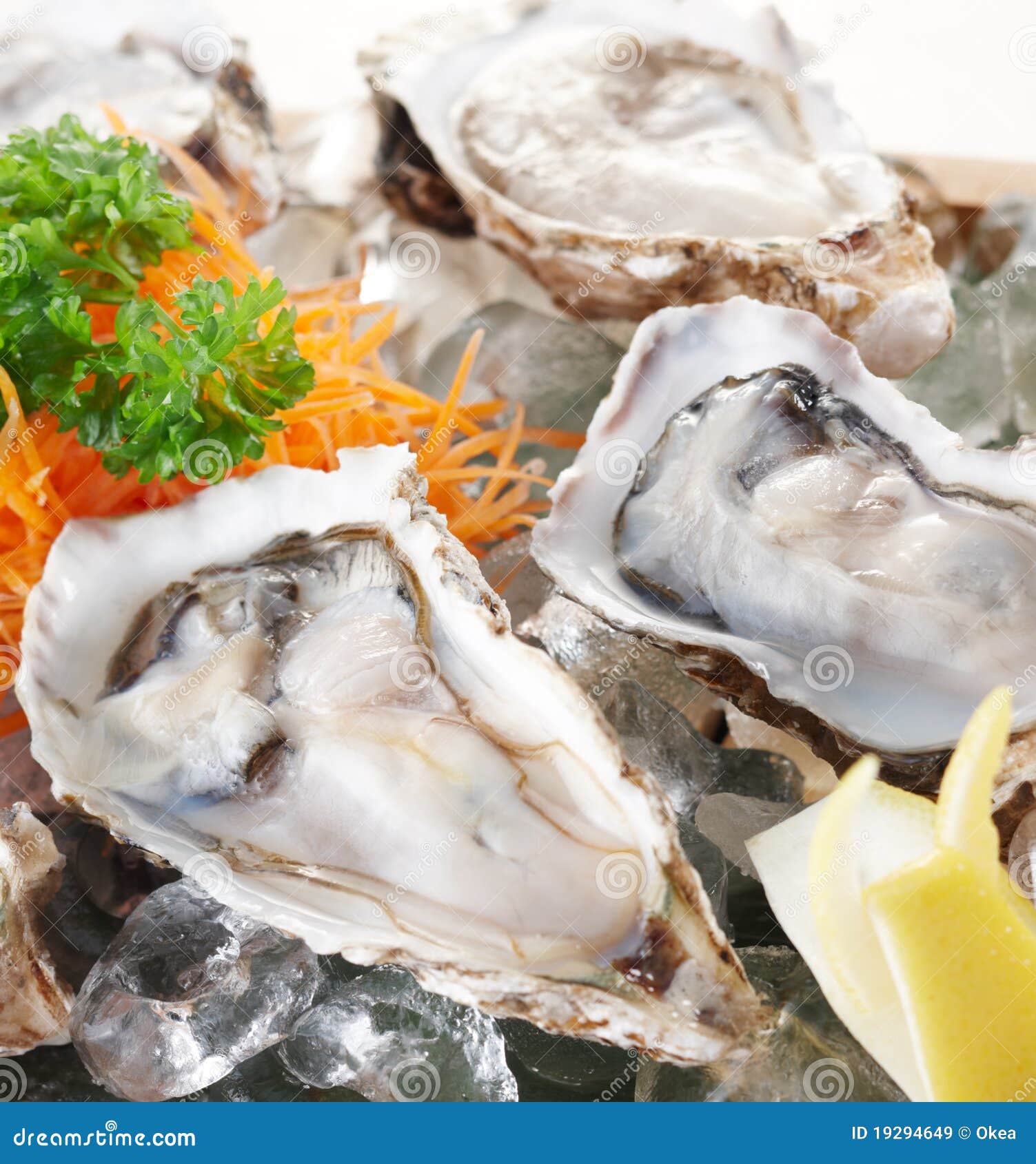 Raw oysters stock image. Image of seafood, fresh, oyster - 19294649