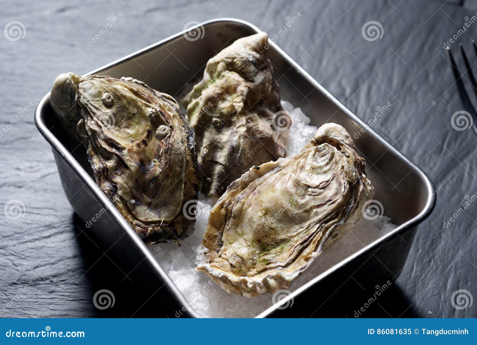 Raw oysters in container stock image. Image of cold, closeup - 86081635