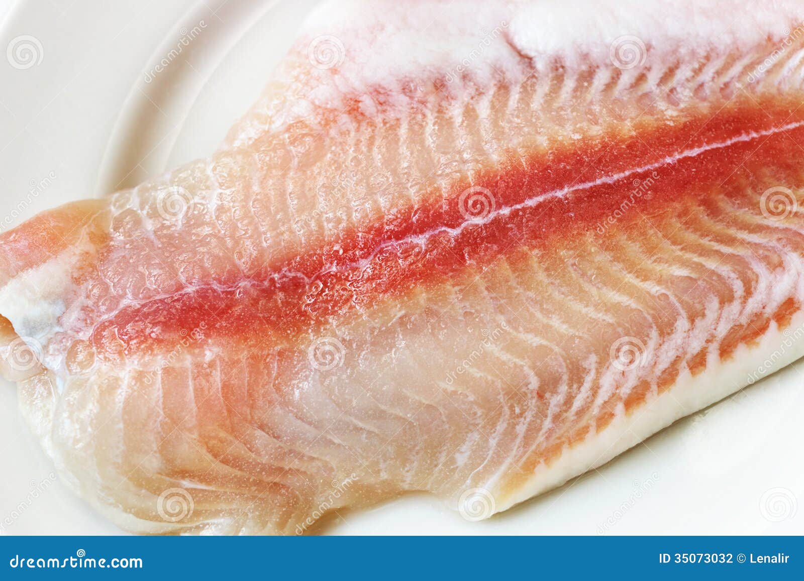 Raw pangasius stock photo. Image of fresh, fillet, plate - 35073032