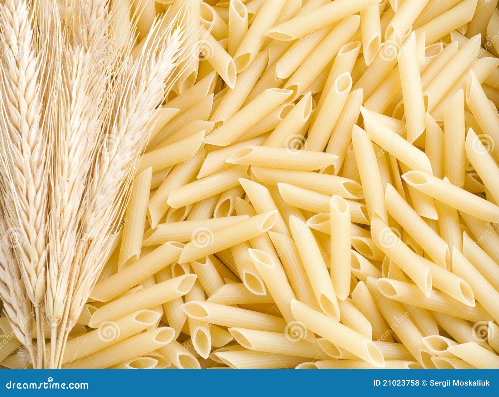 Raw pasta and ear of wheat stock photo. Image of healthy - 21023758