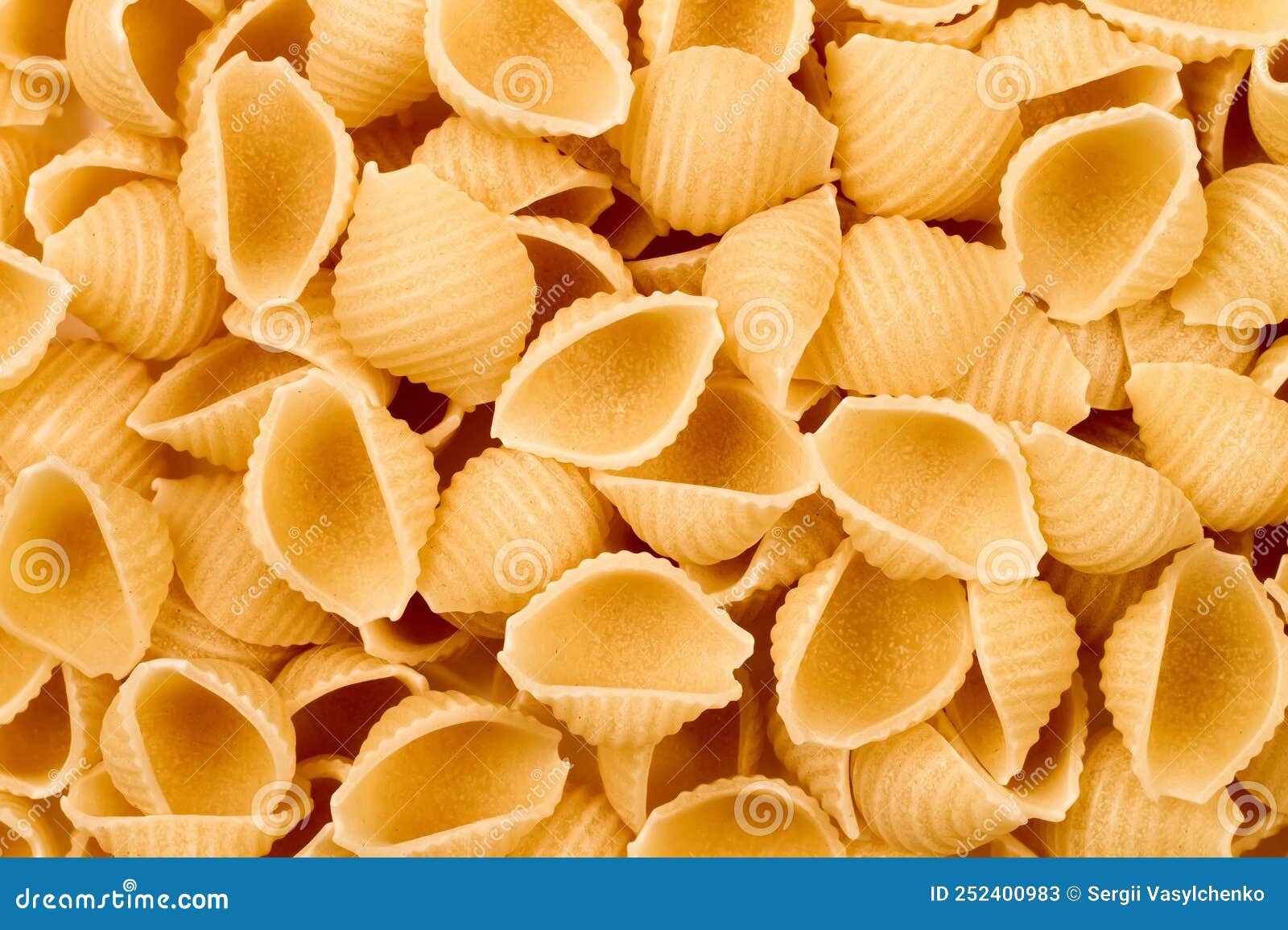 Raw Pasta in the Form of Shells. Stock Image - Image of healthy ...