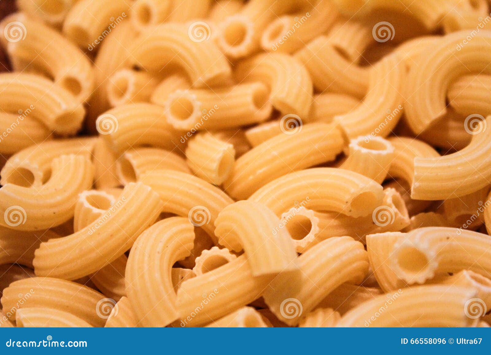 Raw pasta macaroni stock photo. Image of collection, grain - 66558096
