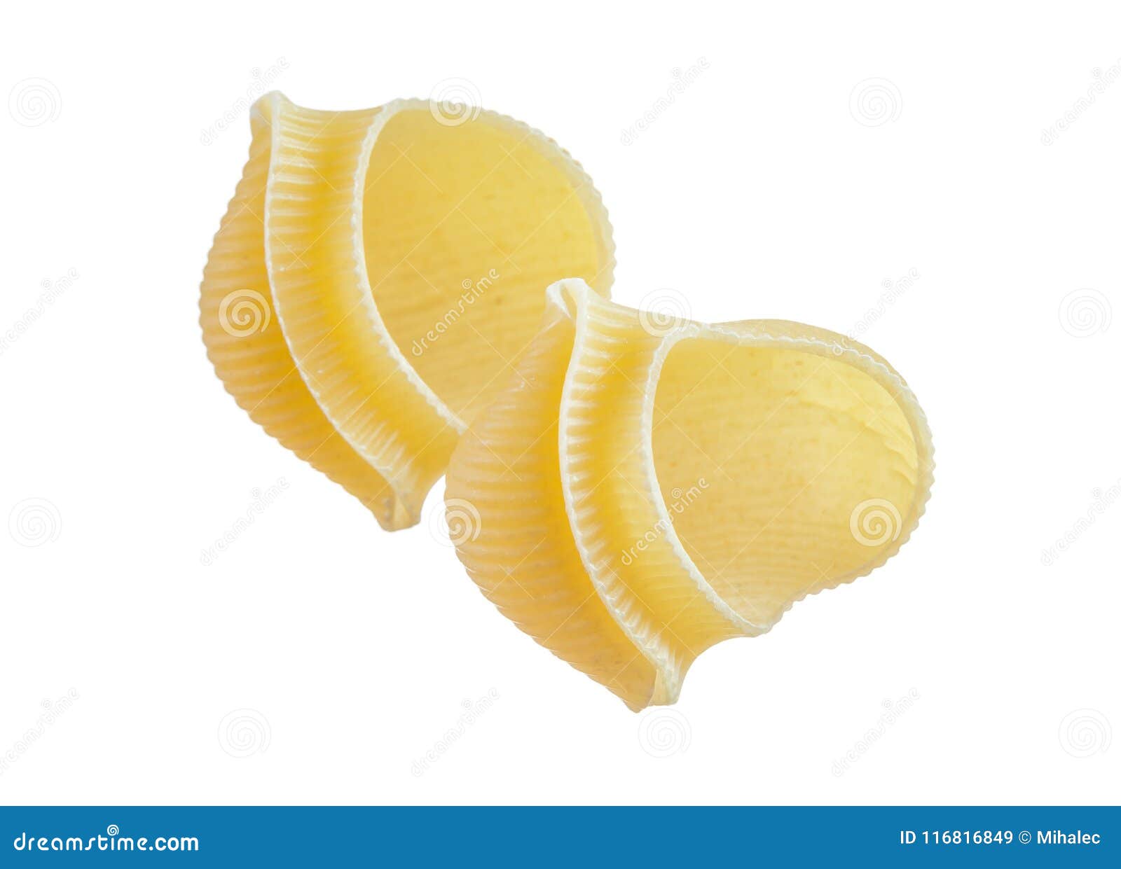 Raw Pasta Shells Isolated on White Stock Image - Image of cuisine ...