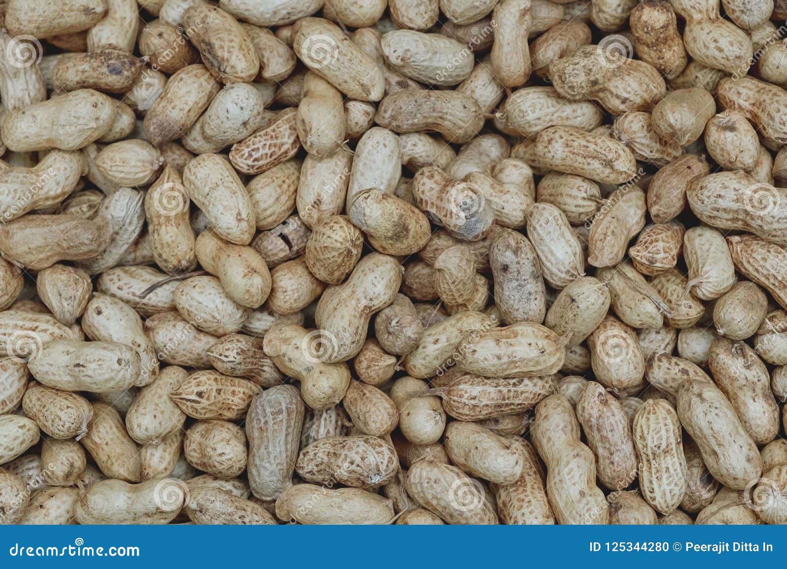 Peanuts Background Stock Photography | CartoonDealer.com #4782458