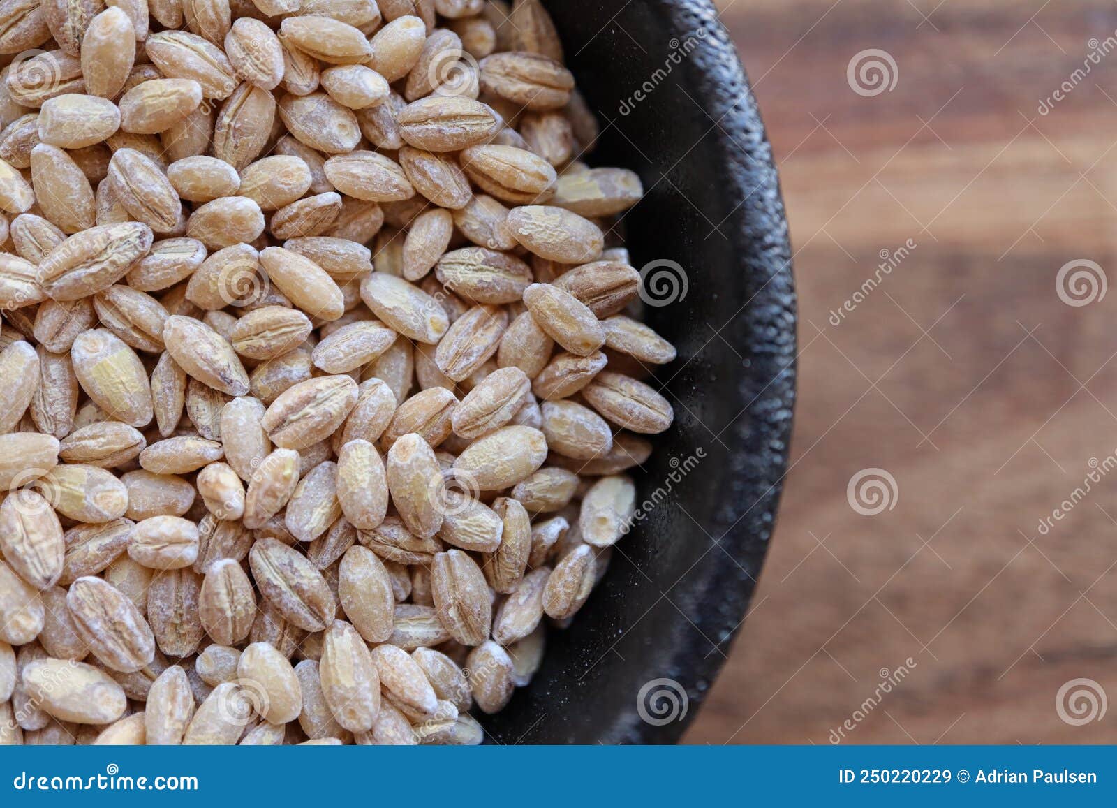 Raw pearl barley stock image. Image of barley, pearl - 250220229