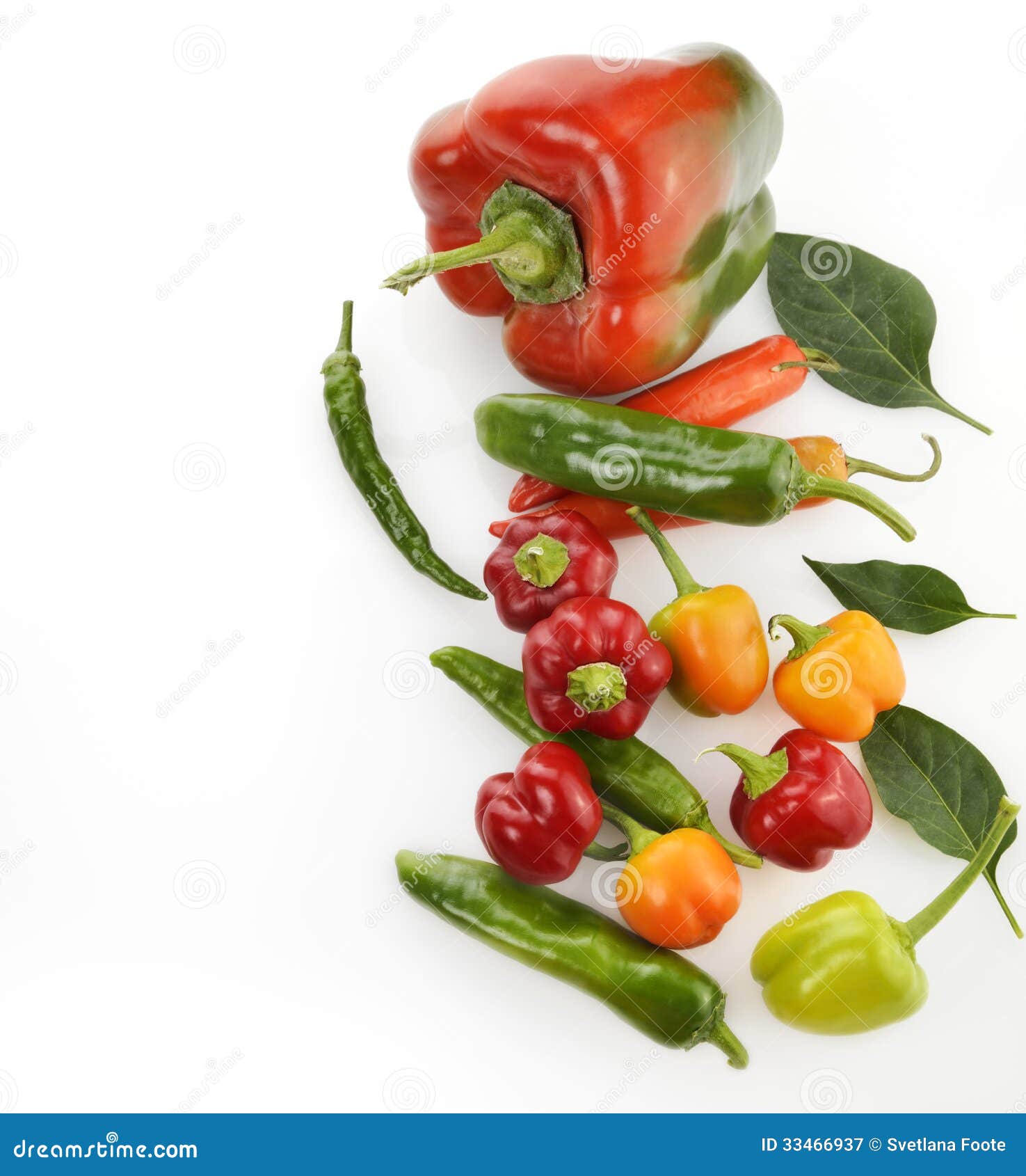 Raw Peppers Assortment stock image. Image of white, food - 33466937