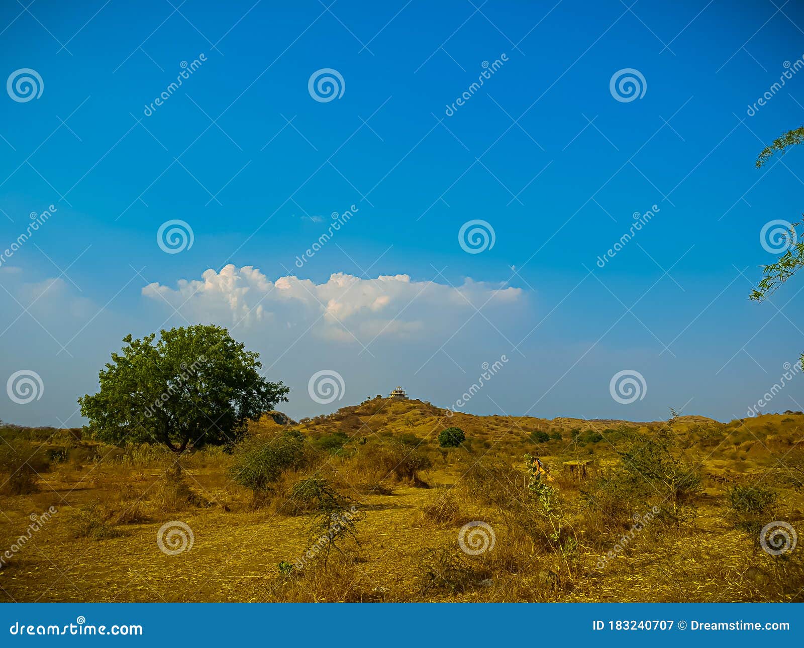 Raw Pic stock image. Image of plants, palace, nature - 183240707