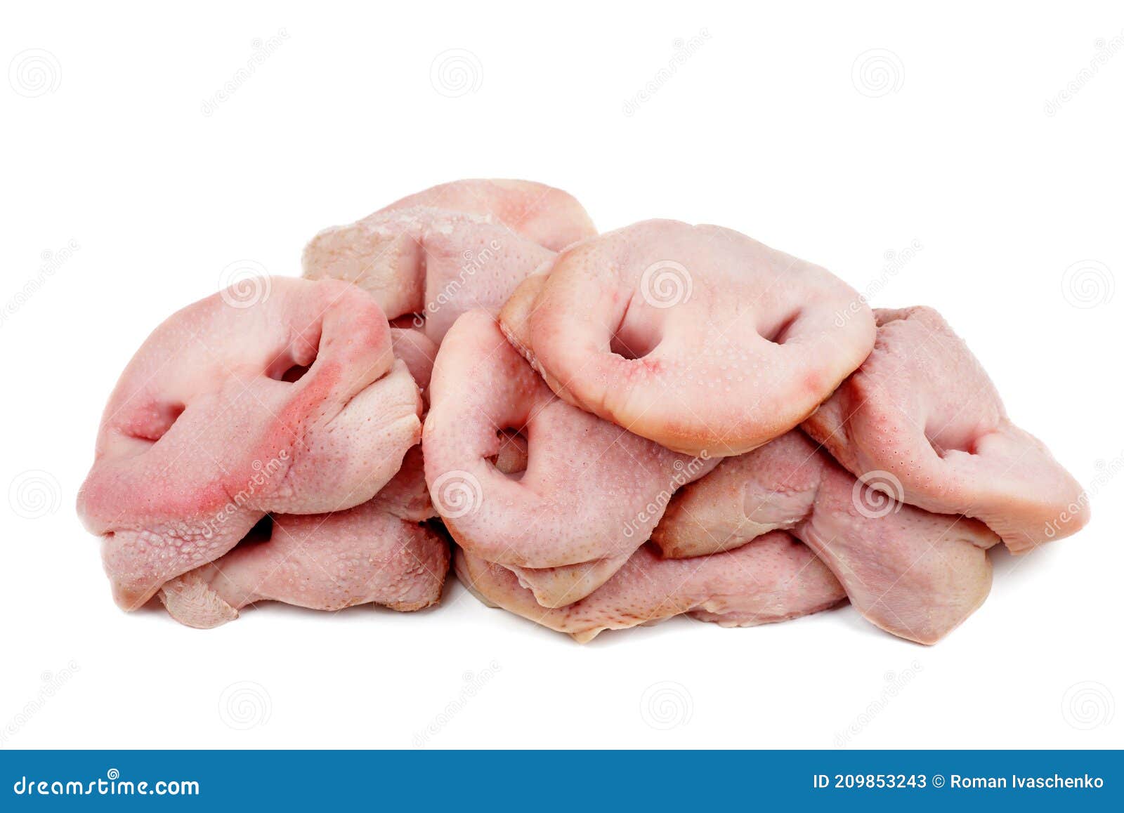 Raw Pig Snouts Isolated on White Stock Image - Image of fresh, snout ...