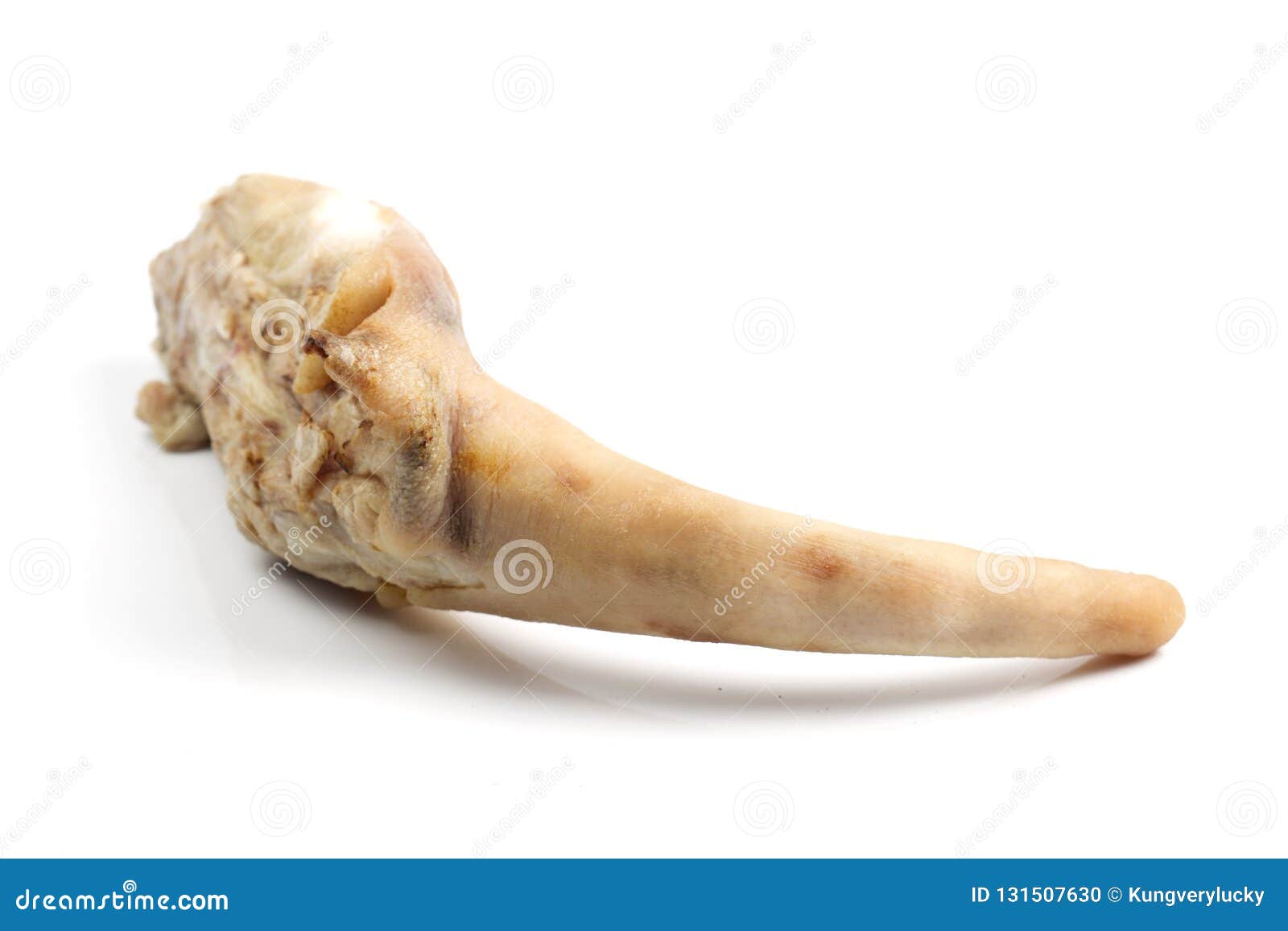 Raw pig tail stock photo. Image of skin, tail, meat - 131507630