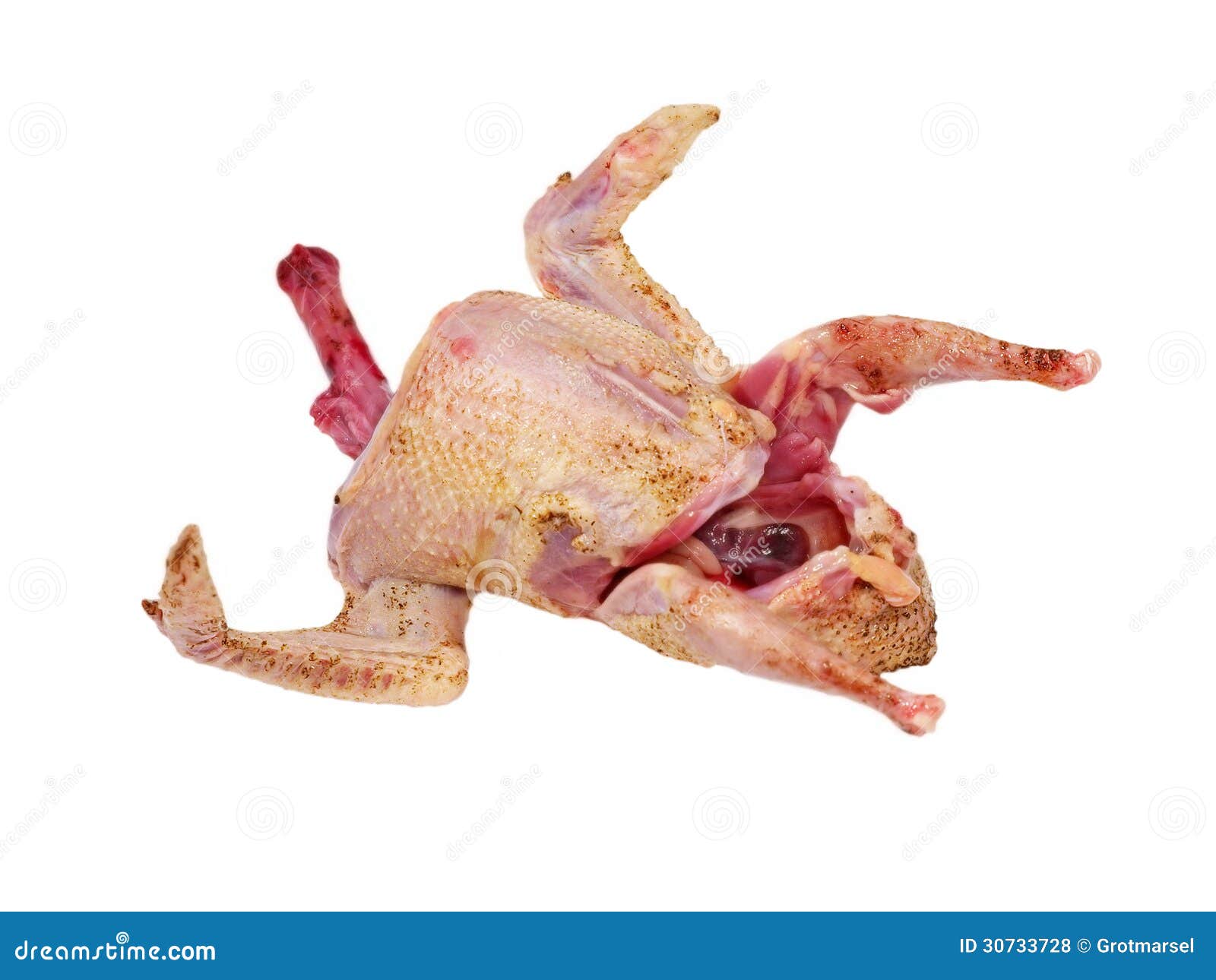 Raw Pigeon Bird.Isolated. Royalty Free Stock Photos - Image: 30733728