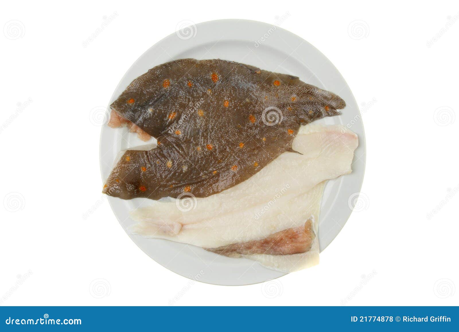 Raw plaice fillets stock photo. Image of isolated, fillet - 21774878