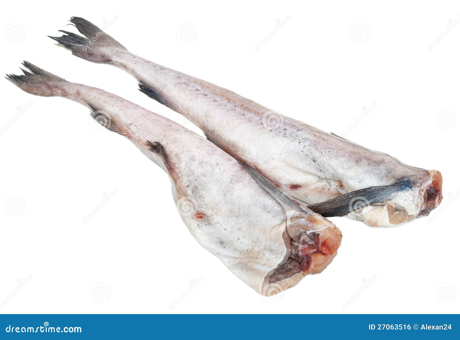 Raw pollack stock photo. Image of fresh, isolated, headless - 27063516