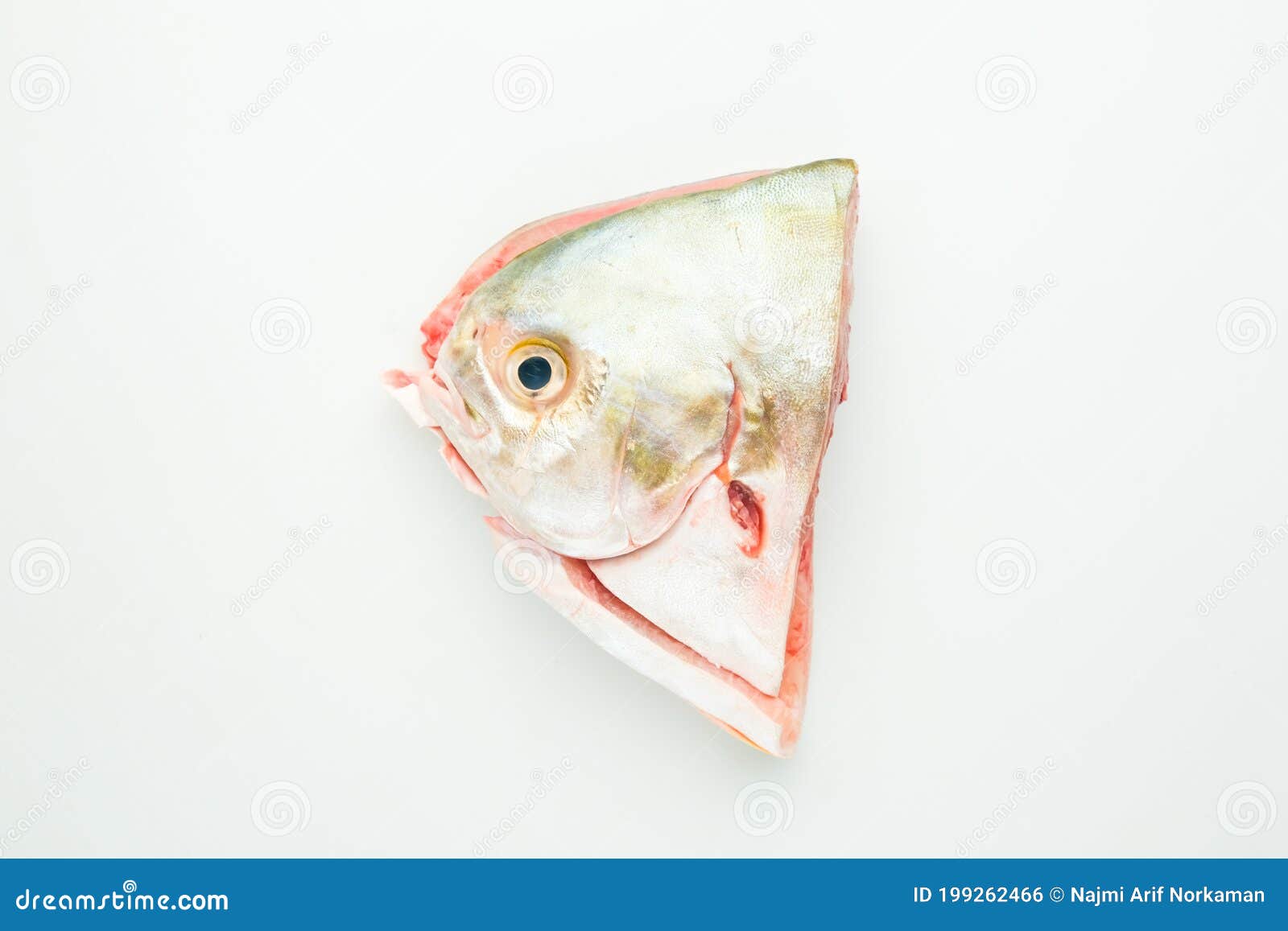Raw fish head stock photo. Image of white, closeup, ocean - 199262466