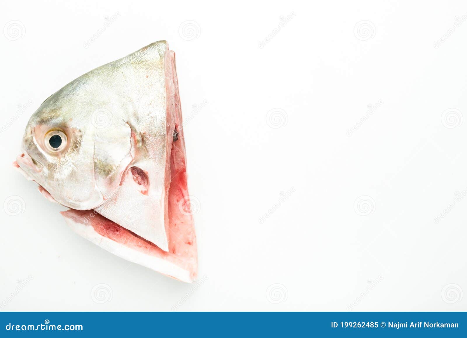 Raw fish head stock image. Image of meat, seafood, ocean - 199262485