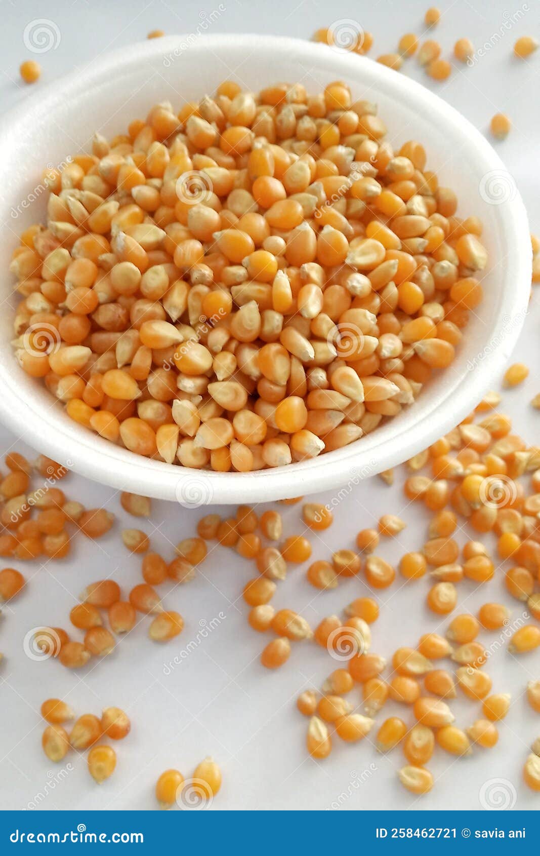 Raw Popcorn Corn in a White Bowl Stock Image - Image of fruit, produce ...