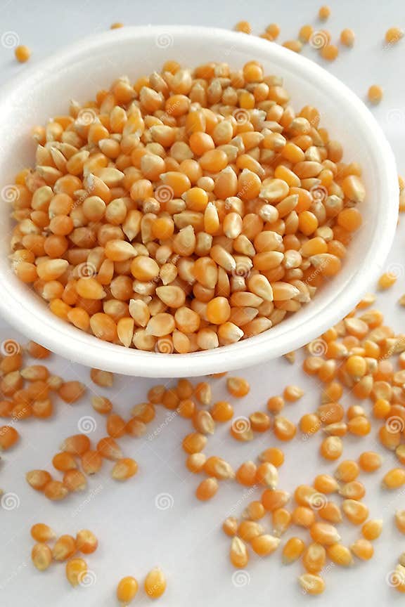 Raw Popcorn Corn in a White Bowl Stock Image - Image of fruit, produce ...