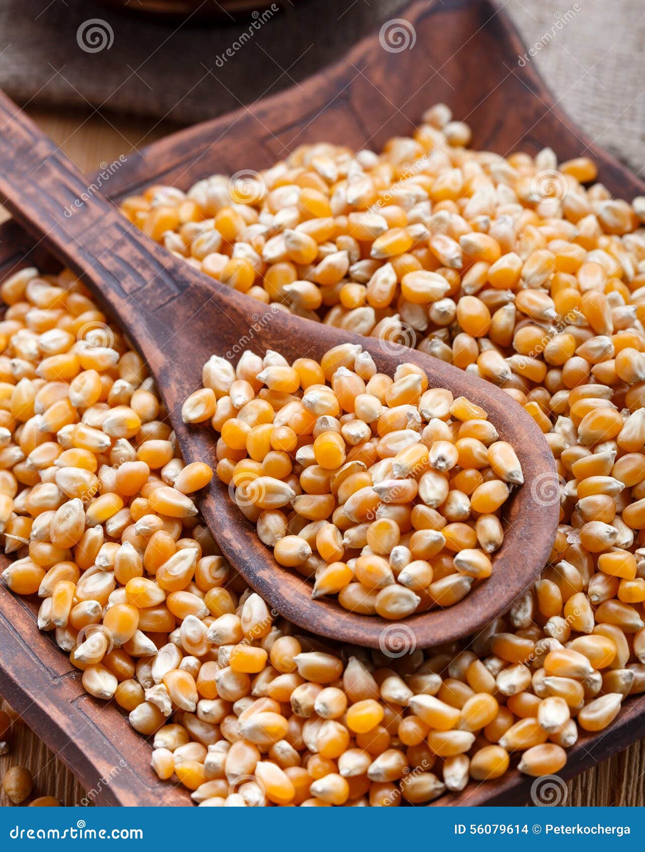 The raw popcorn stock photo. Image of natural, ripe, wooden - 56079614