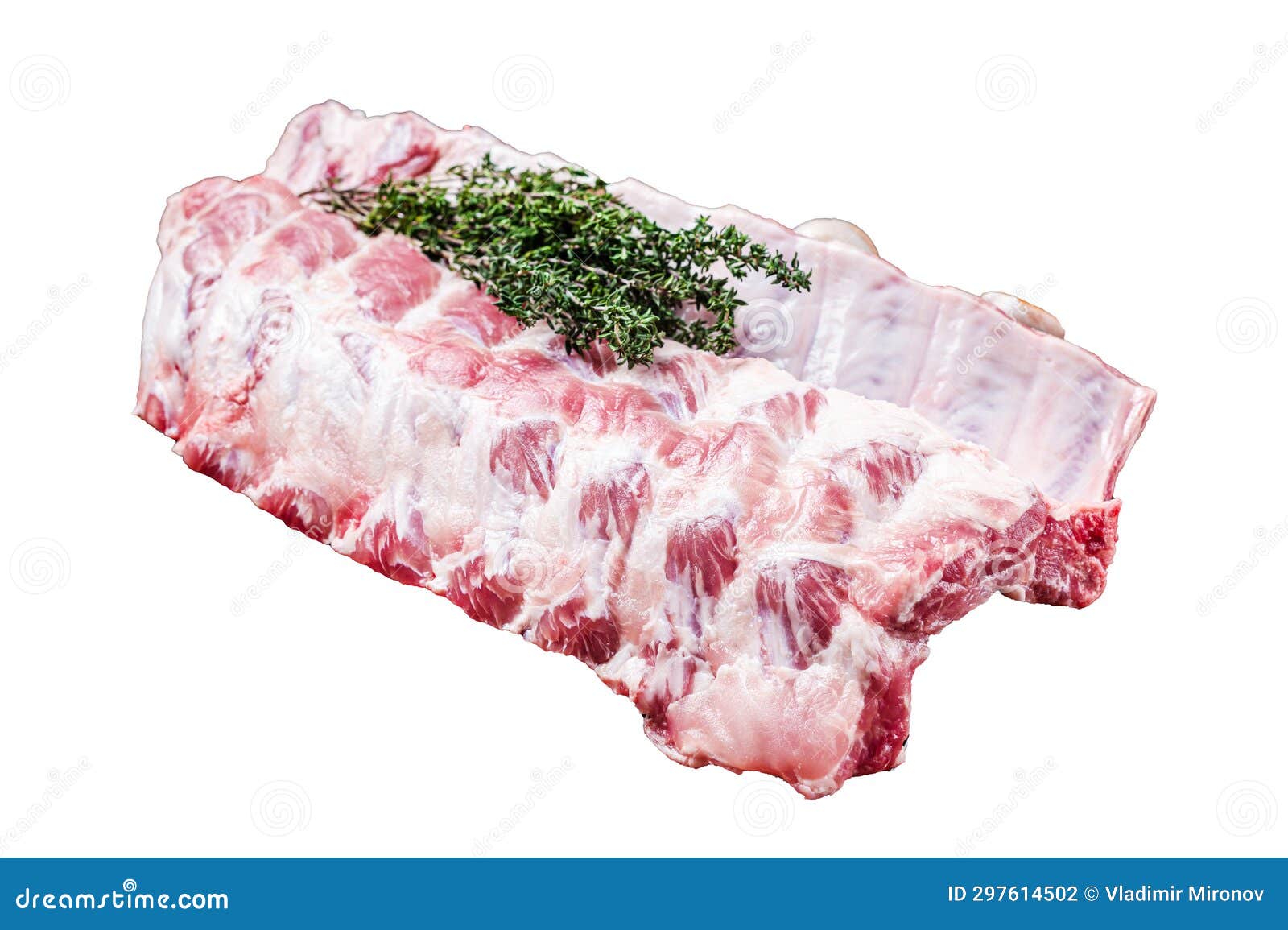 Raw Pork Spare Ribs on a Rack with Herbs. Isolated, White Background ...