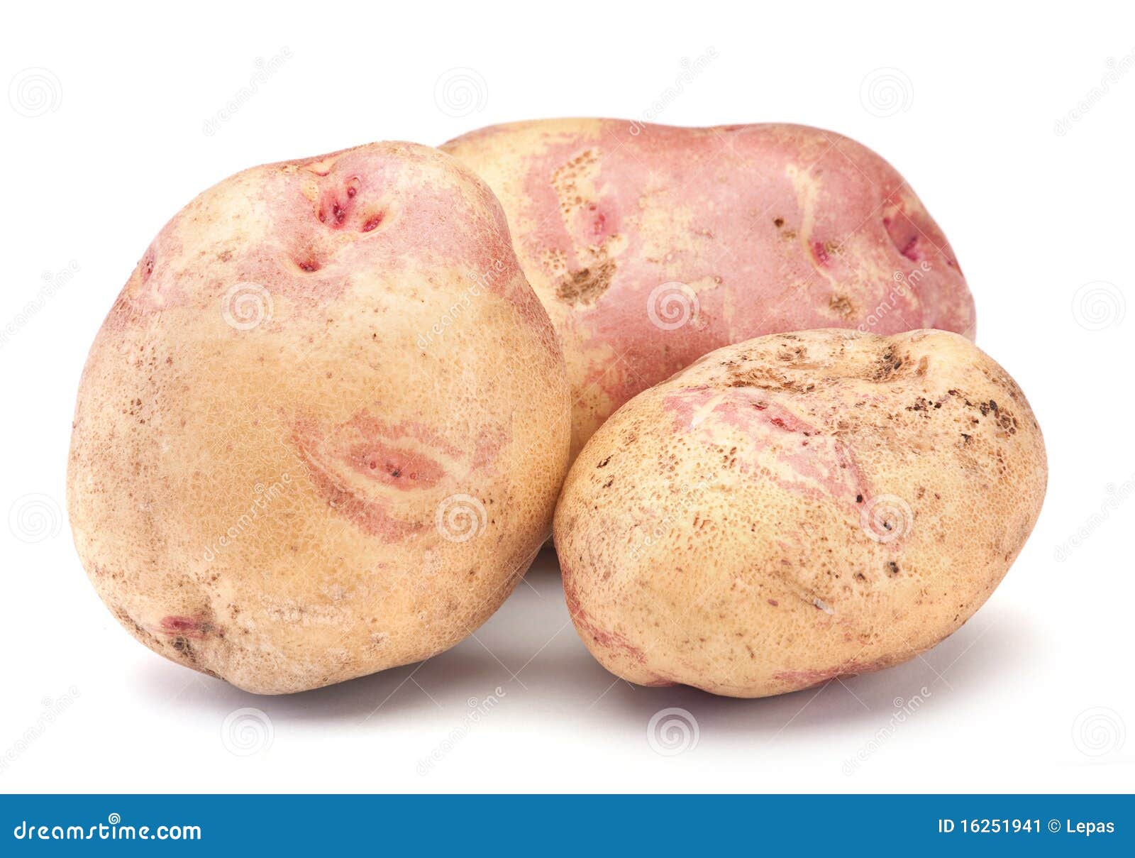 Raw potato stock image. Image of white, potato, ingredient - 16251941