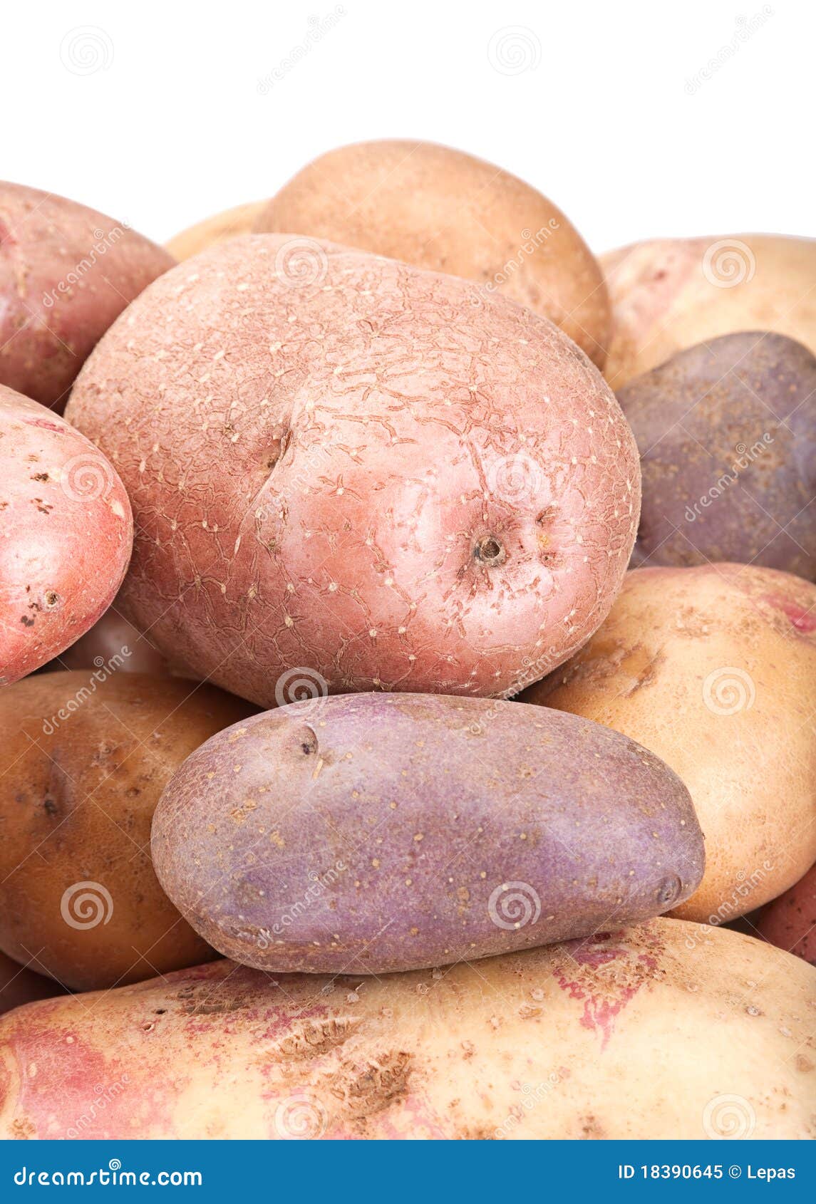 Raw potato stock image. Image of potato, brown, horizontal - 18390645