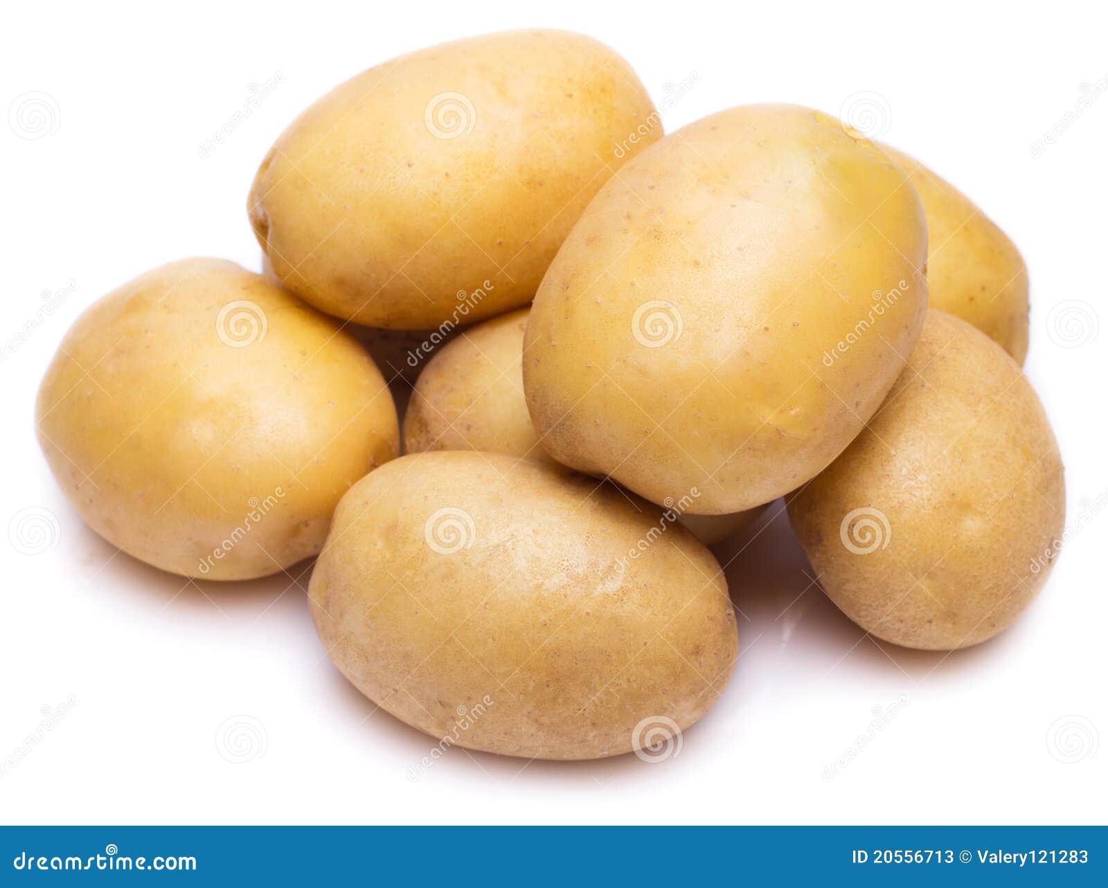 Raw potato stock image. Image of ingredient, culinary - 20556713
