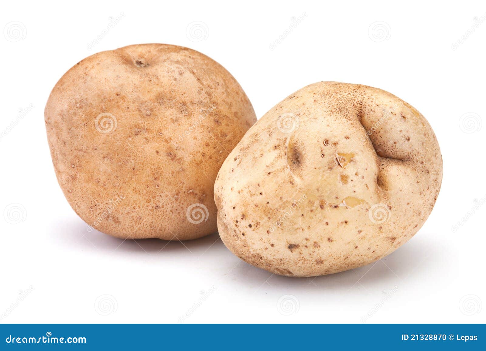 Raw potato stock photo. Image of vegetable, white, horizontal - 21328870