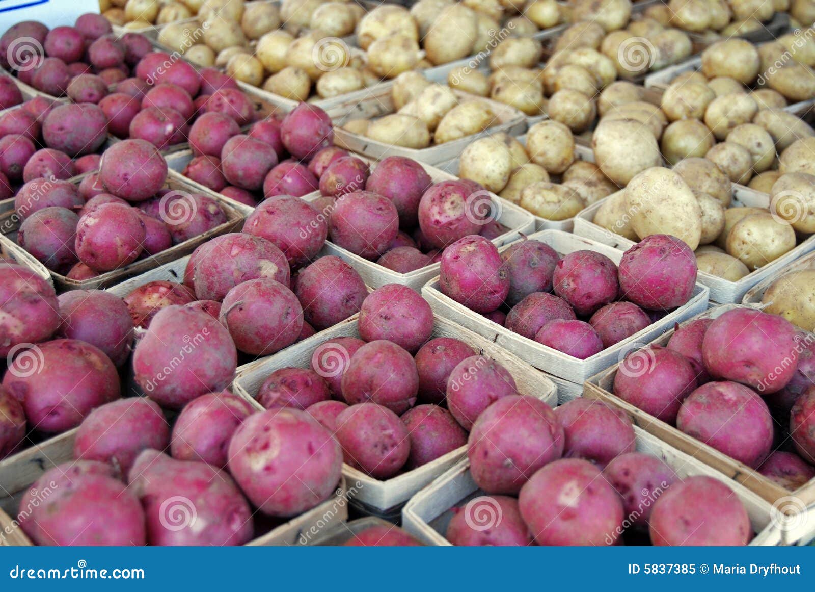 Raw Potatoes stock image. Image of wood, table, fresh - 5837385