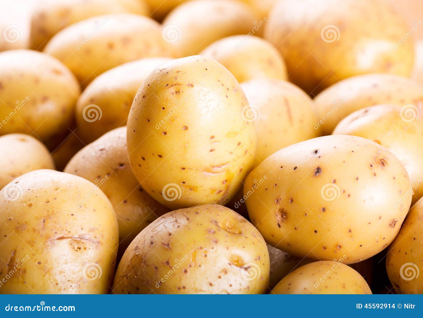 Raw potatoes stock photo. Image of healthy, nature, agriculture - 45592914