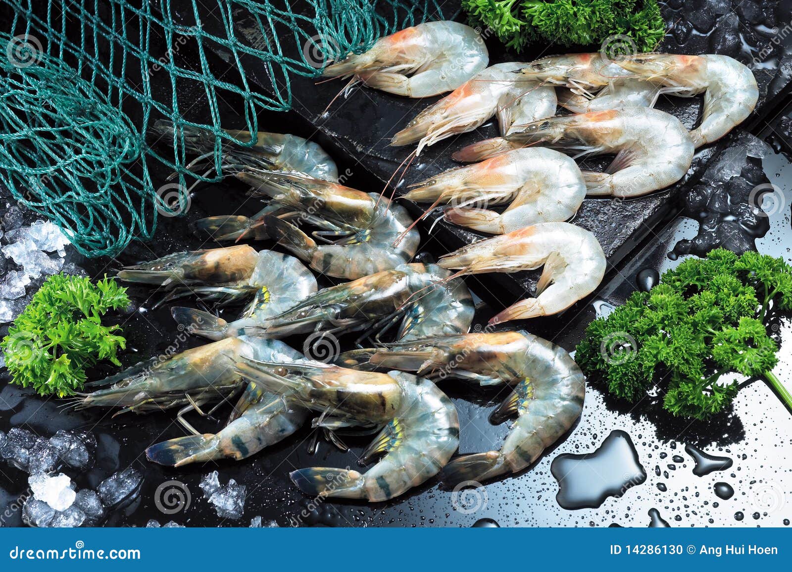 Raw prawn stock photo. Image of closeup, cholesterol - 14286130