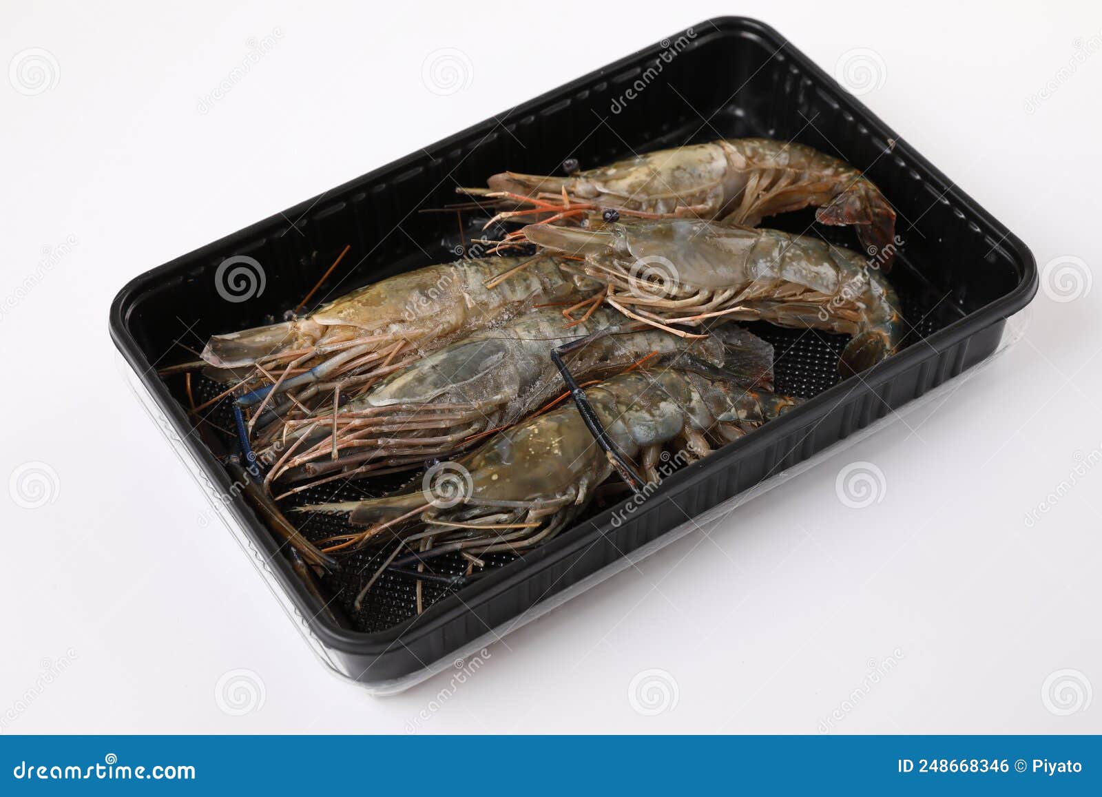 Raw Prawn Isolated in White Baackground Stock Photo - Image of alive ...