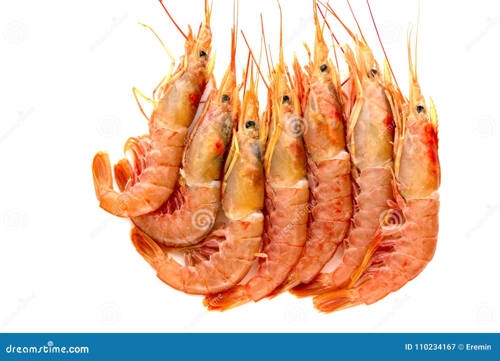Raw Prawns on a White Background. Stock Image - Image of nephrops ...