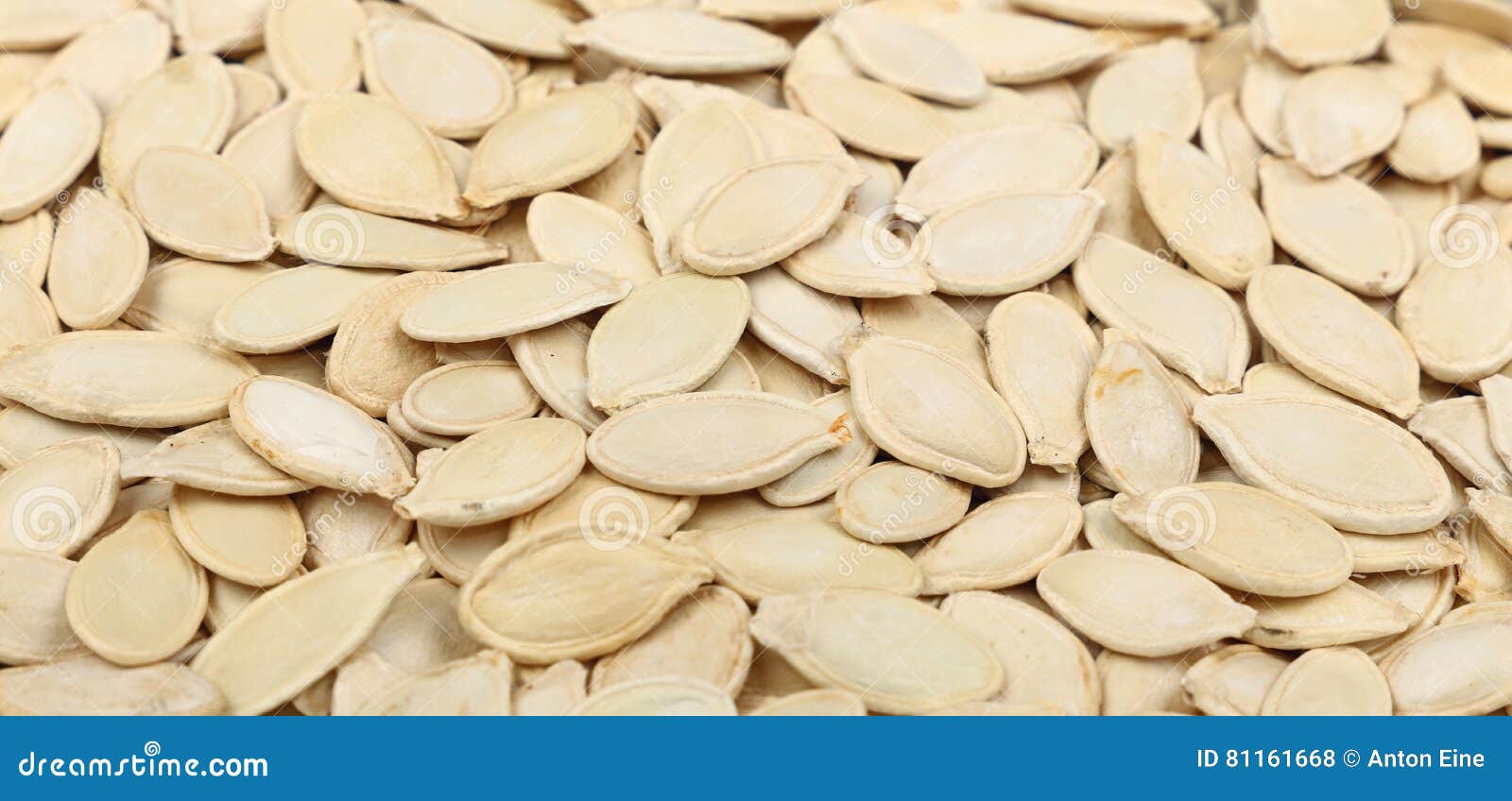 Raw Pumpkin Seeds Close Up Background Stock Photo - Image of natural ...