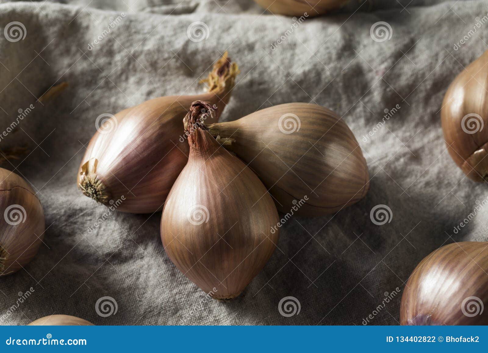 Raw Purple Organic Shallots Stock Photo - Image of diet, purple: 134402822