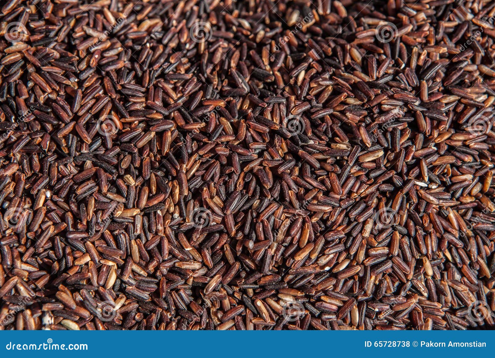 Raw purple Riceberry rice stock photo. Image of thailand - 65728738