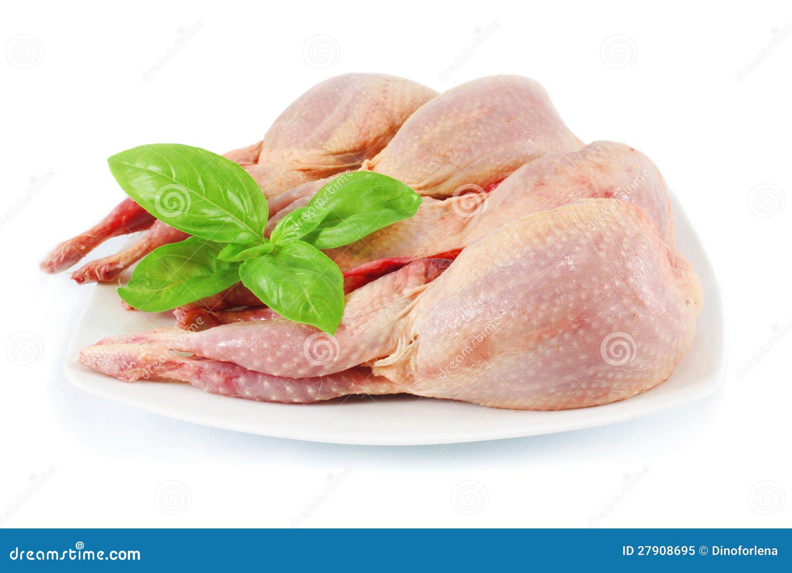 Raw quail stock image. Image of fresh, cuisine, poultry - 27908695