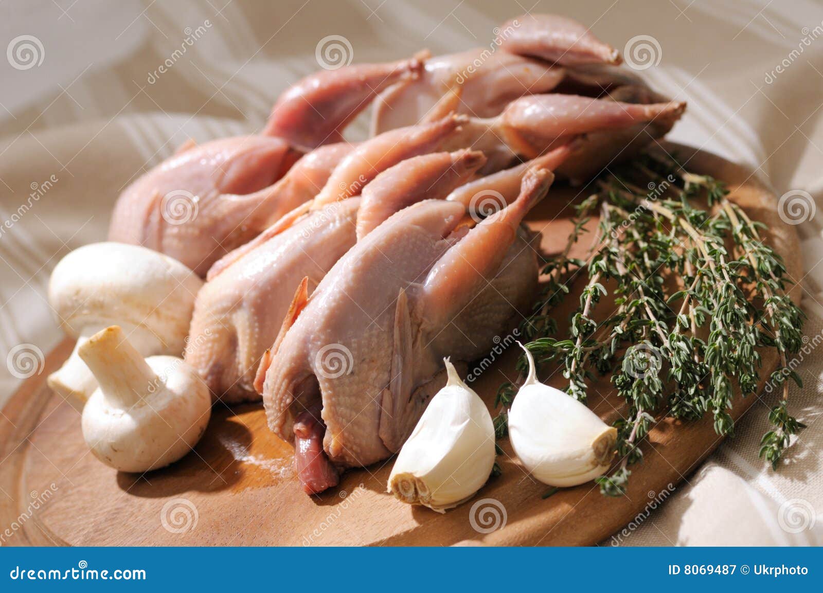 Raw quail with ingredients stock image. Image of traditional - 8069487