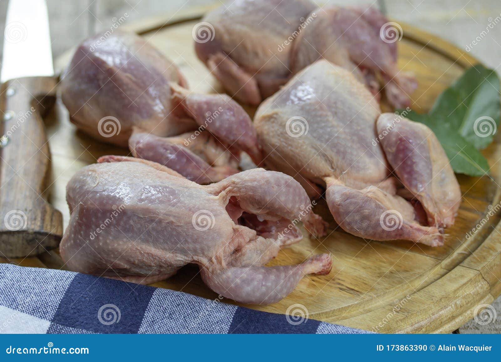 Raw quail stock photo. Image of organic, stuffed, meat - 173863390