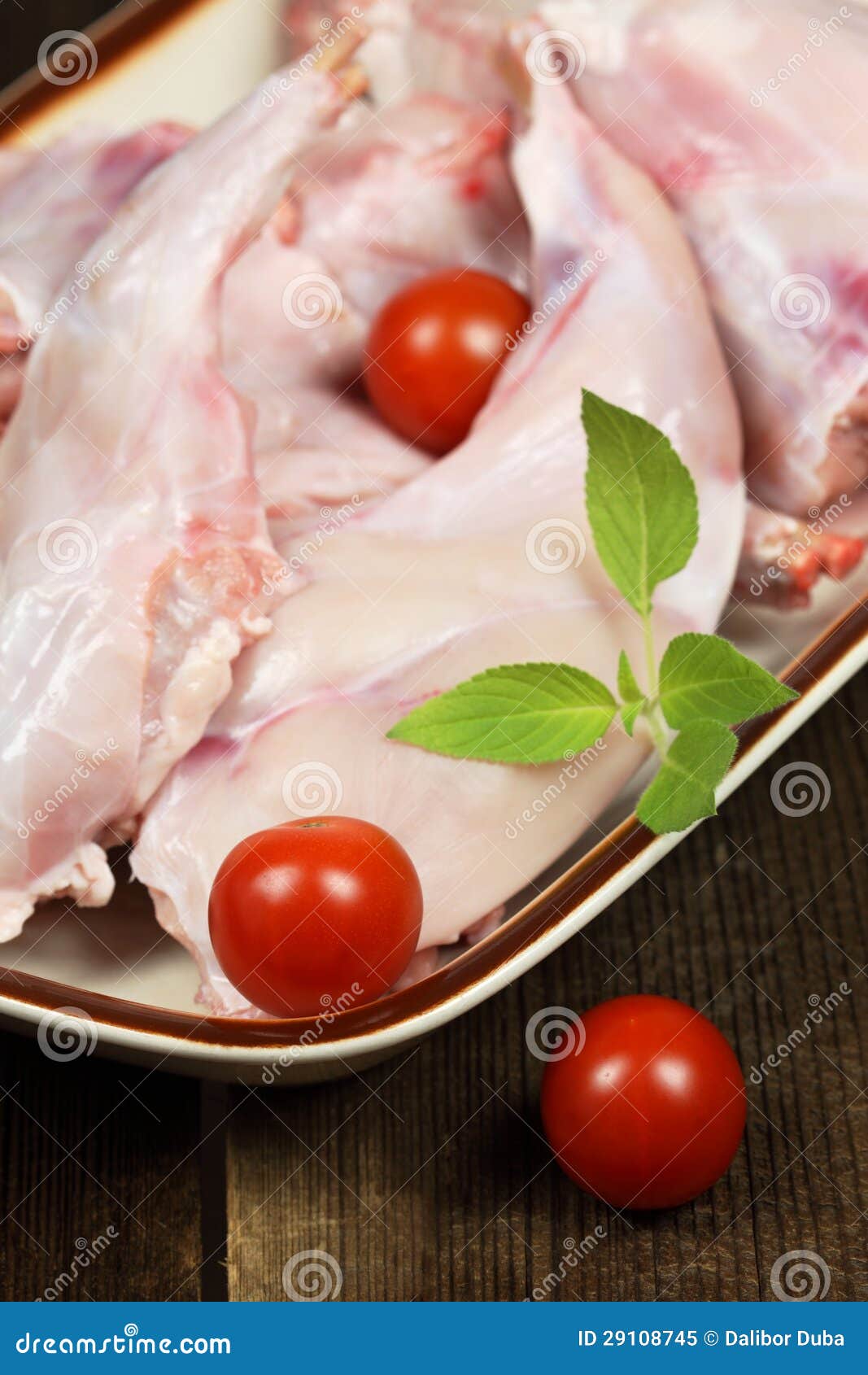 Raw rabbit stock image. Image of ingredient, background - 29108745