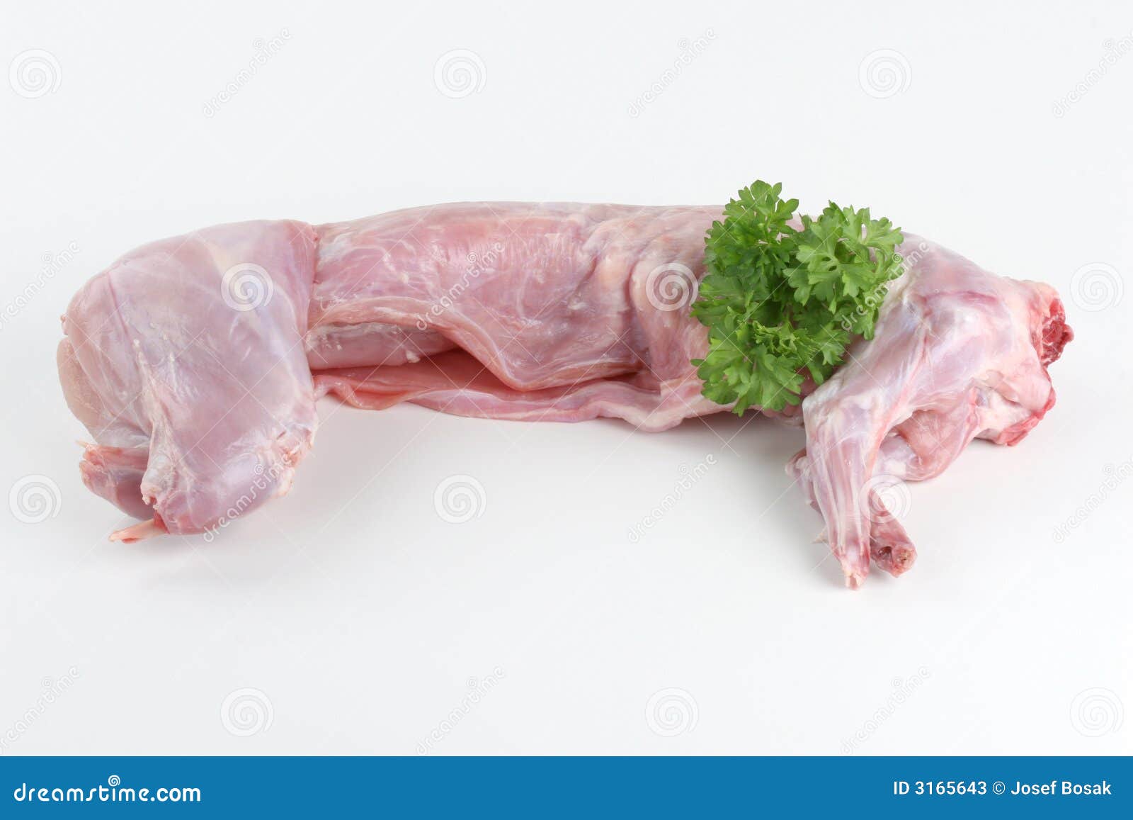 Raw rabbit stock image. Image of barbecue, dinner, close - 3165643