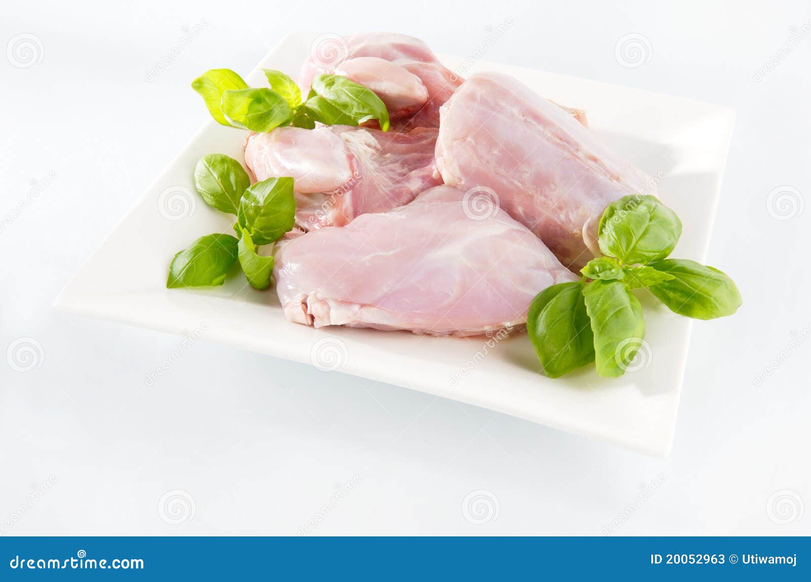 Raw rabbit meat. stock image. Image of cuts, arrangement - 20052963