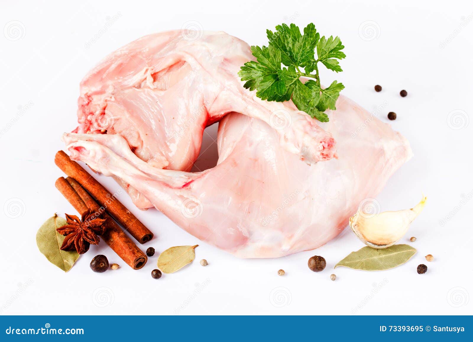 Raw Rabbit Meat with Herbs and Spices Isolated Stock Image - Image of ...