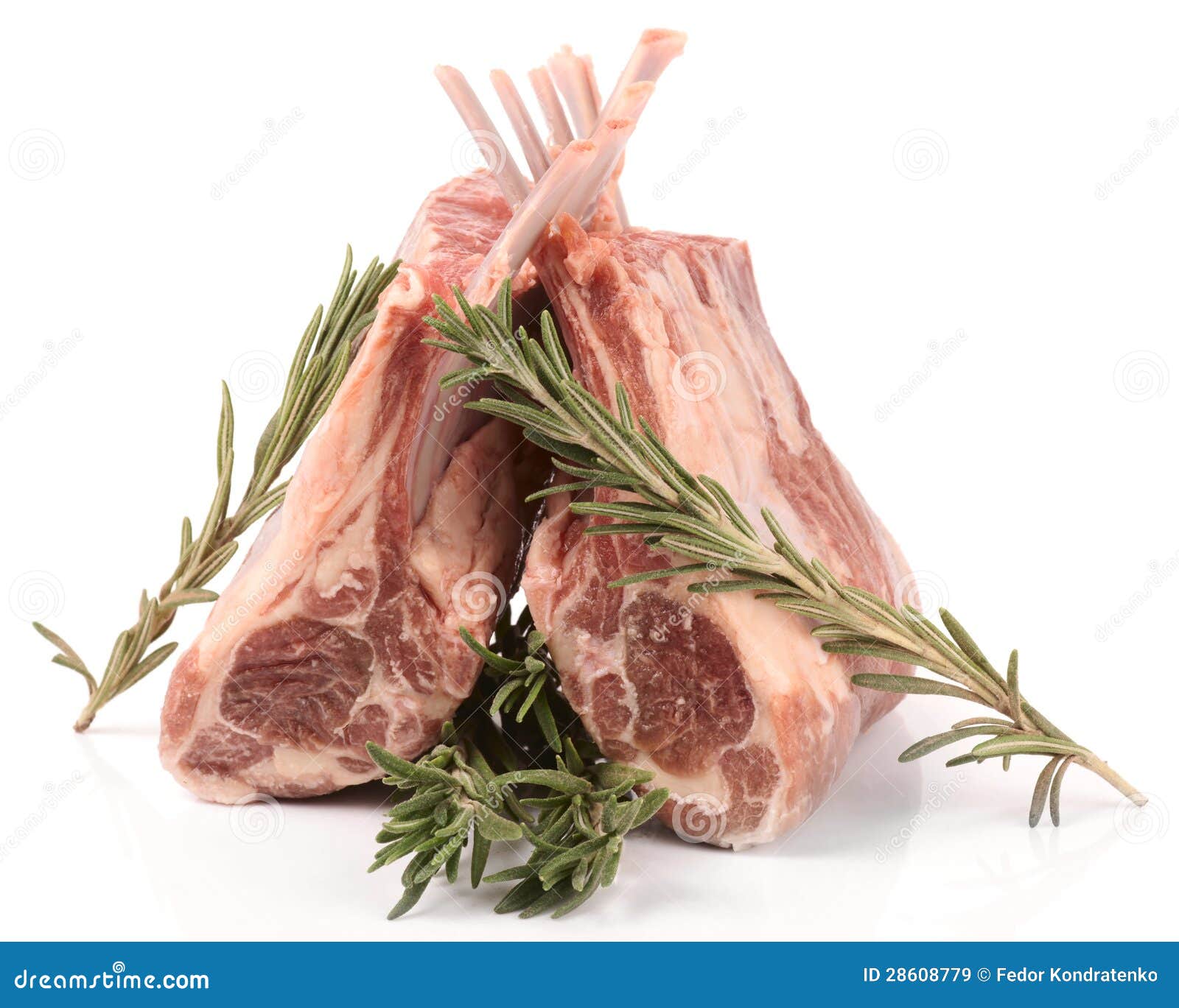 Raw Rack of Lamb with Rosemary, on White Stock Image - Image of branch ...