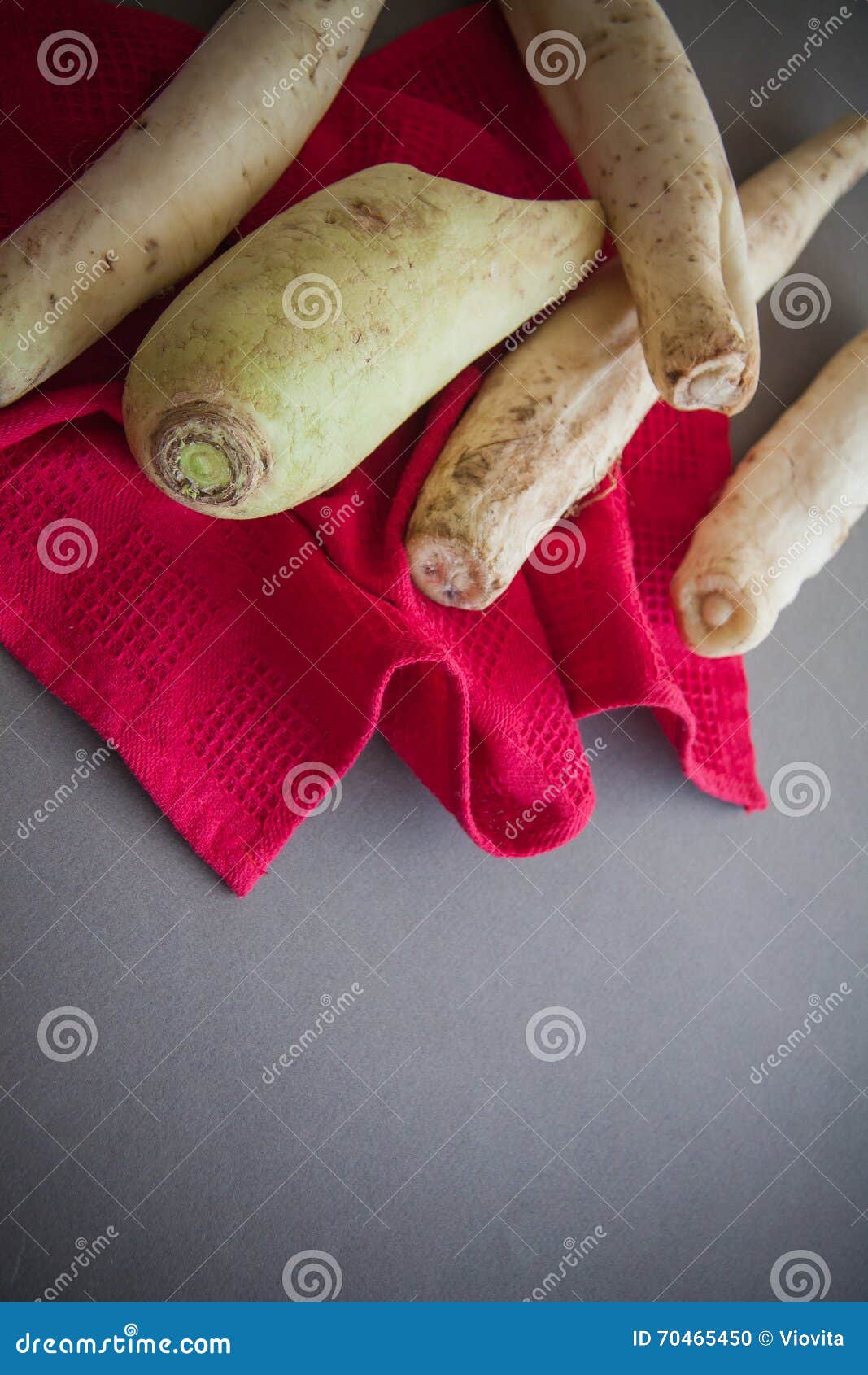 Raw radish stock photo. Image of diet, long, kitchen - 70465450