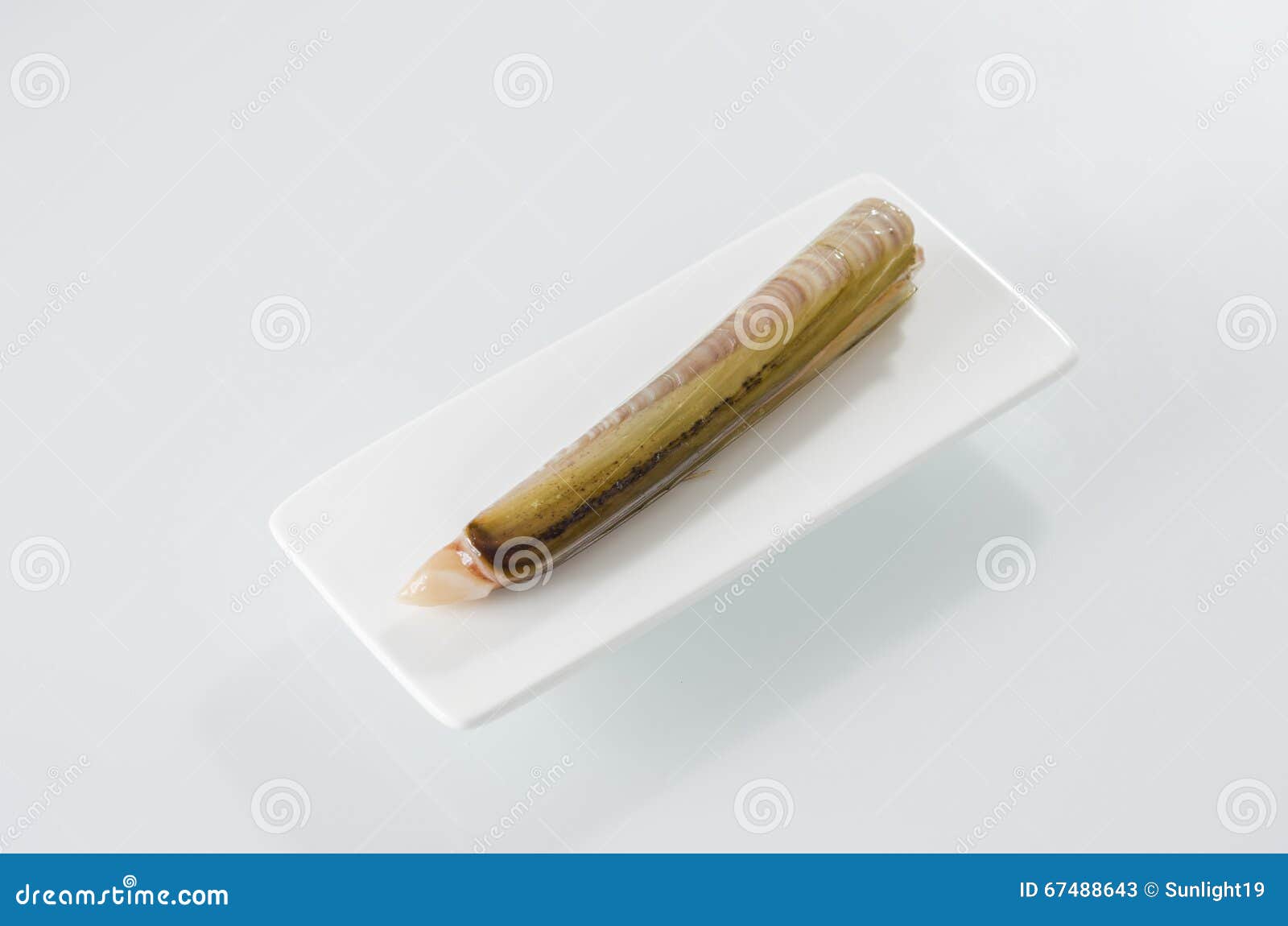 Raw Razor-shell on a White Dish. Stock Image - Image of healthy, food ...