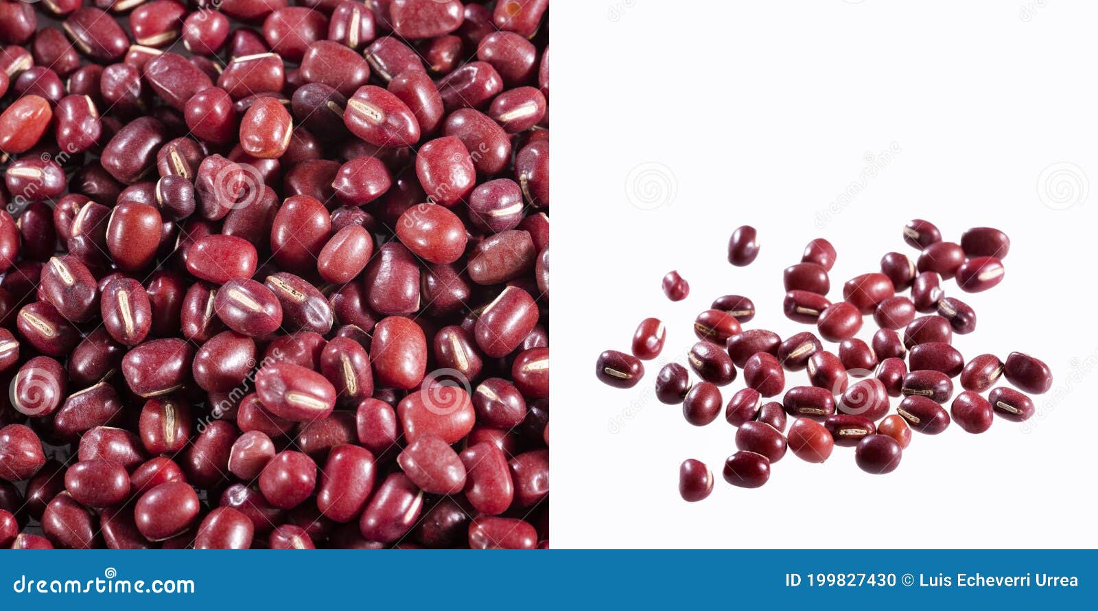 Raw Red Adzuki Bean - Vigna Angularis Stock Photo - Image of mineral ...