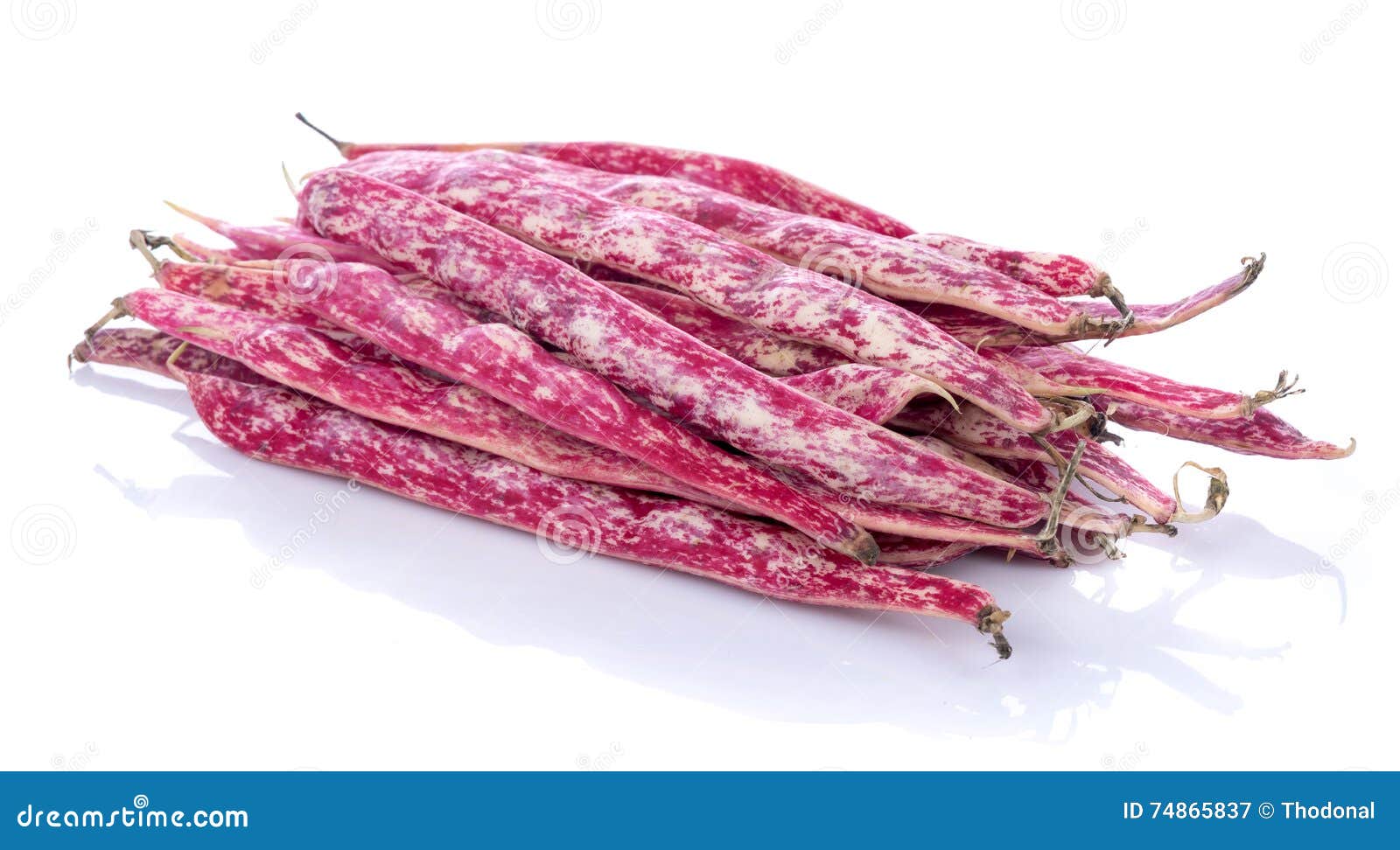 Raw red bean pods stock image. Image of coco, healthy - 74865837