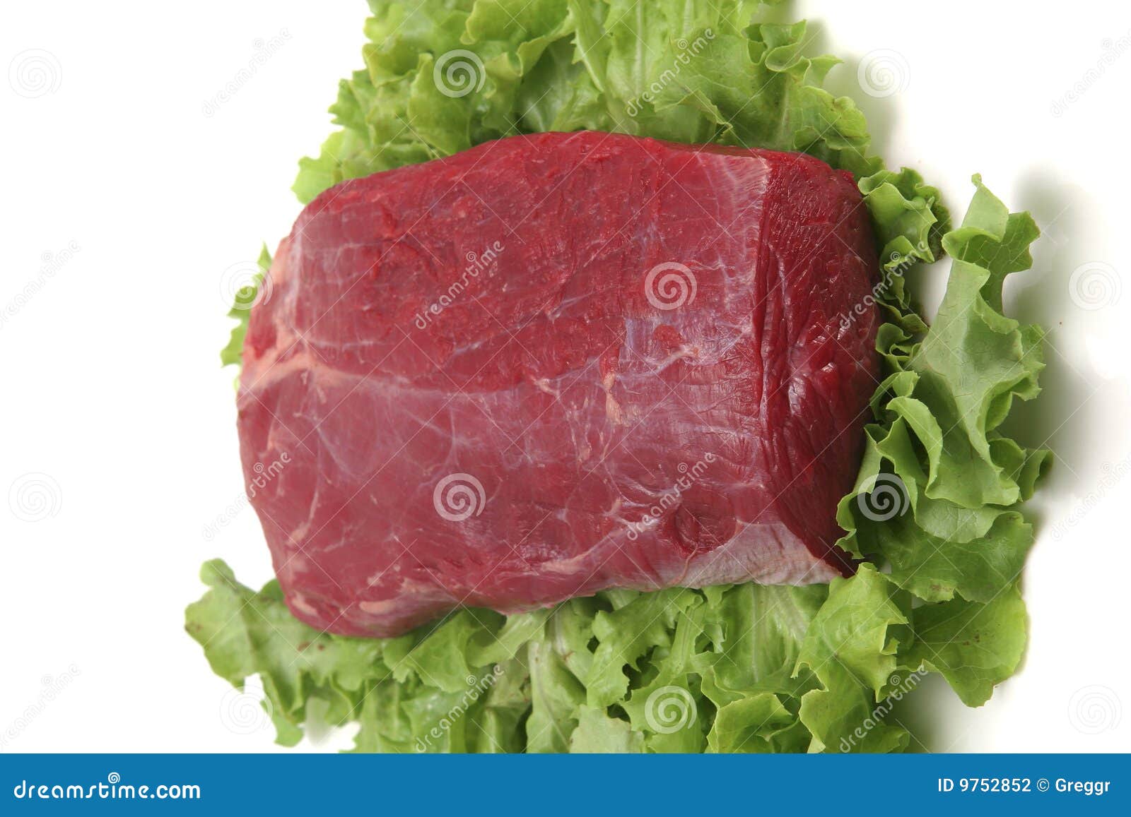 Raw red beef meat on salad stock photo. Image of tasty - 9752852
