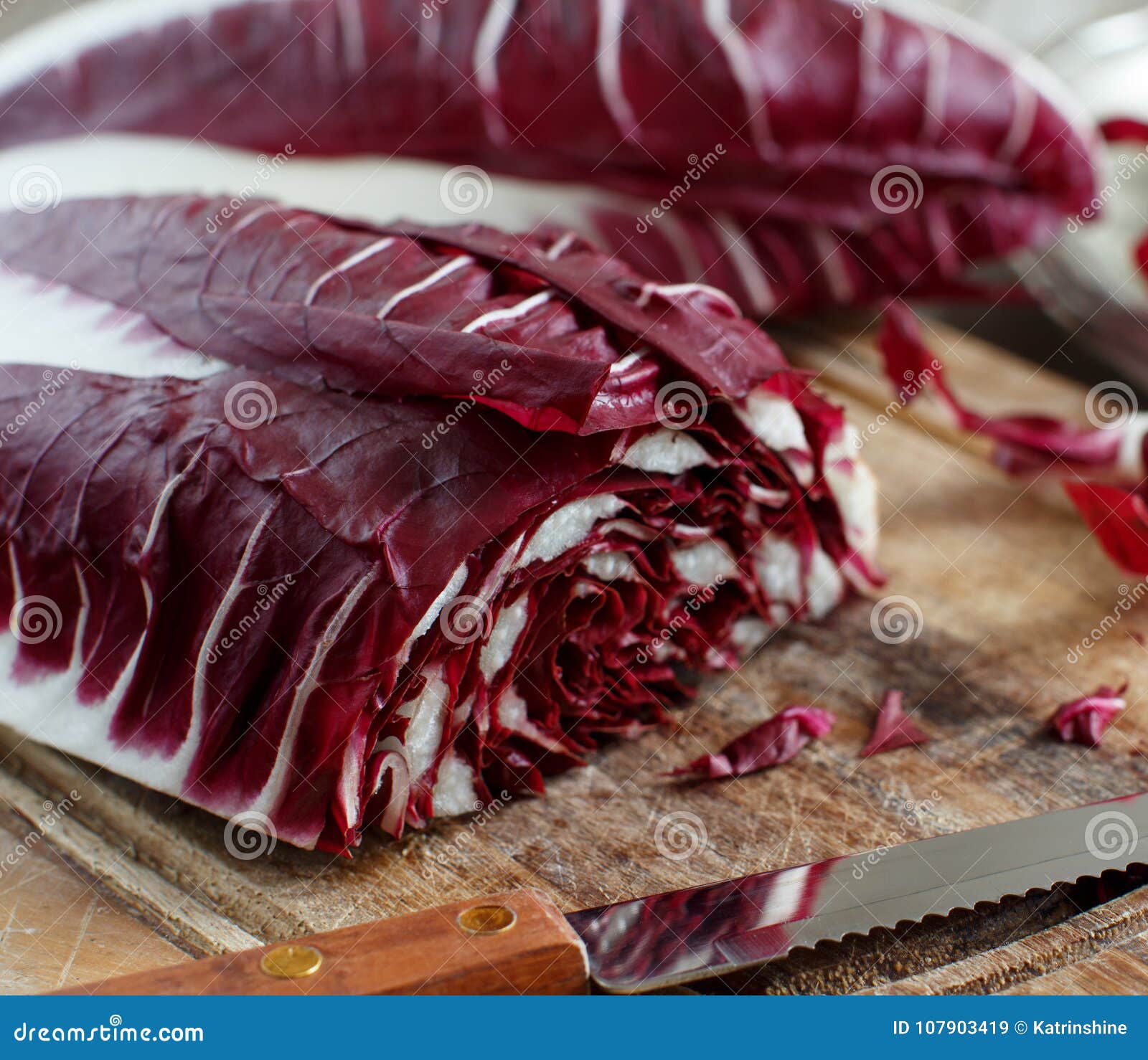 Raw red chicory stock image. Image of treviso, purple - 107903419