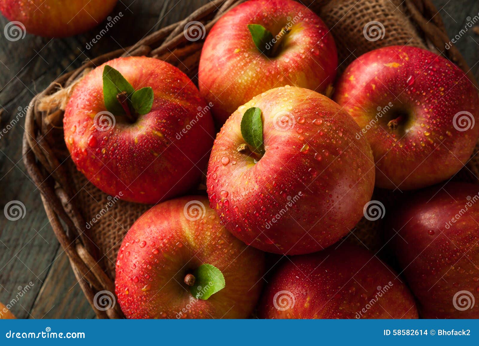 Raw Red Fuji Apples stock photo. Image of fuji, harvested - 58582614